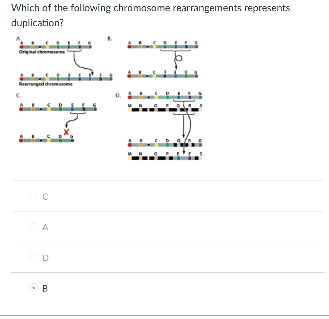 Solved Which of the following is TRUE of noncoding DNA? It | Chegg.com