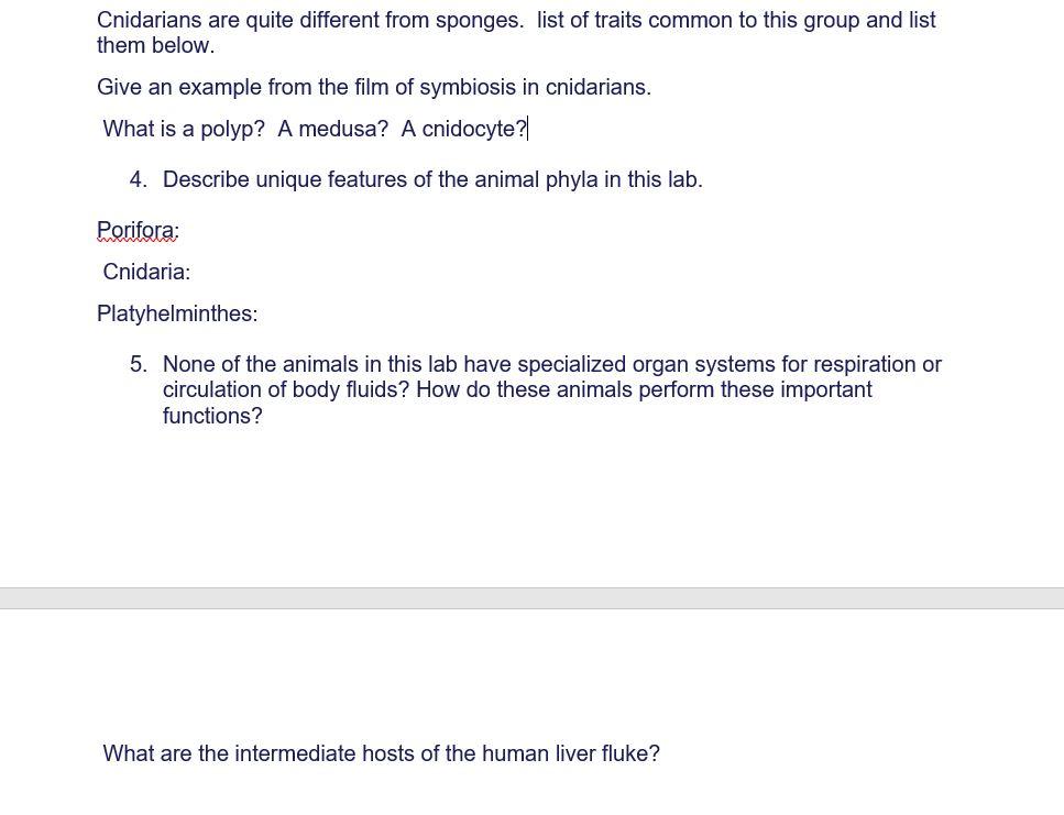 Solved 1. What are the basal characteristics of animals? 2. | Chegg.com
