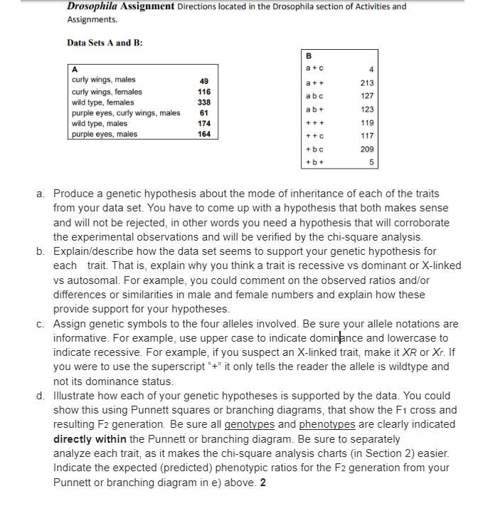 Solved Drosophila Assignment Directions located in the | Chegg.com