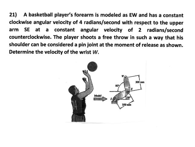 Solved 21) A basketball player's forearm is modeled as EW | Chegg.com