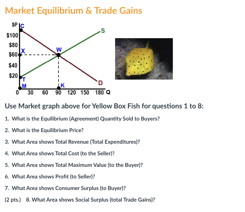 Solved Market Equilibrium \& Trade Gains Use Market graph | Chegg.com