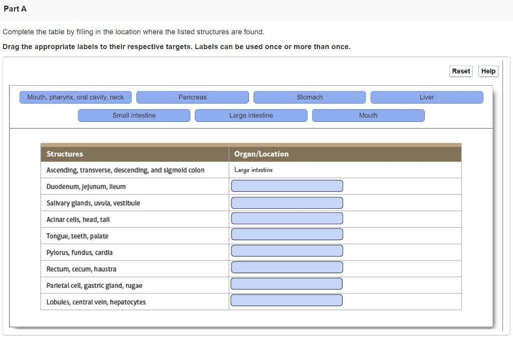Solved Part A Complete the table by filling in the location | Chegg.com