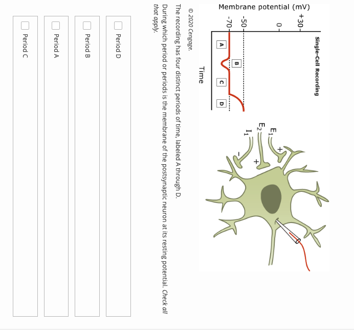 Solved The recording has four distinct periods of time, | Chegg.com