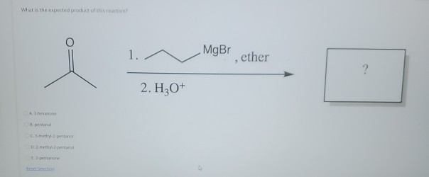 Solved What is the pected product of this reaction MgBr | Chegg.com