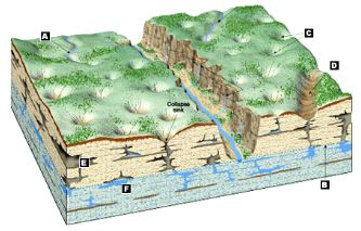 Solved What kastic feature is C? What shoreline erosional | Chegg.com