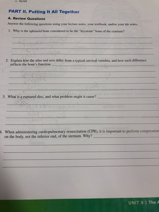 Solved e. hyoid. PART II. Putting It All Together A. Review | Chegg.com