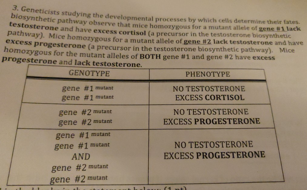 Solved 3. G biosynthetic pathway observe that mice | Chegg.com