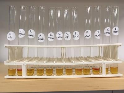 Please fill out what you can on the table with the | Chegg.com