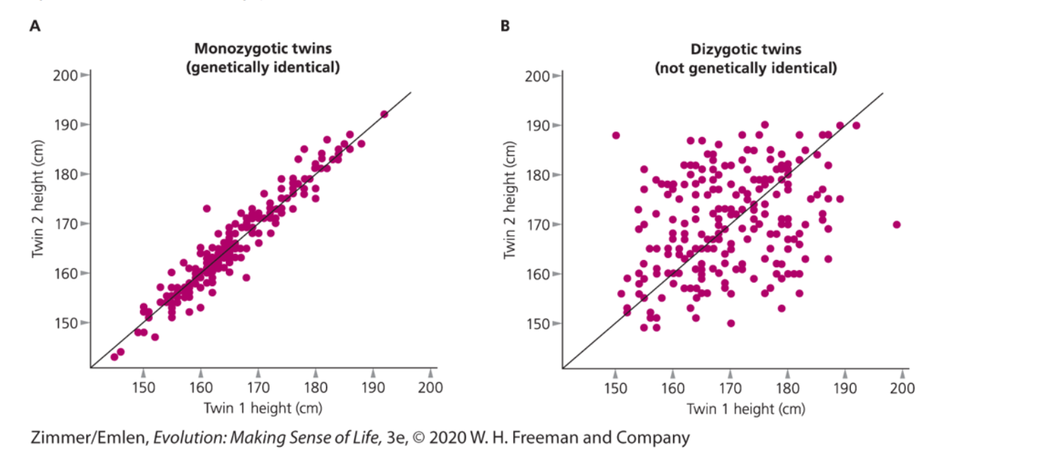 Solved Figure A and B shows the relationship between the | Chegg.com