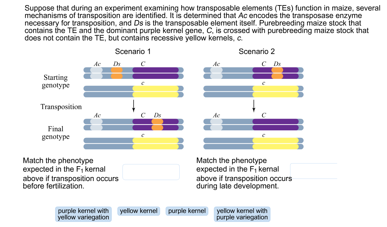 Solved Suppose that during an experiment examining how | Chegg.com