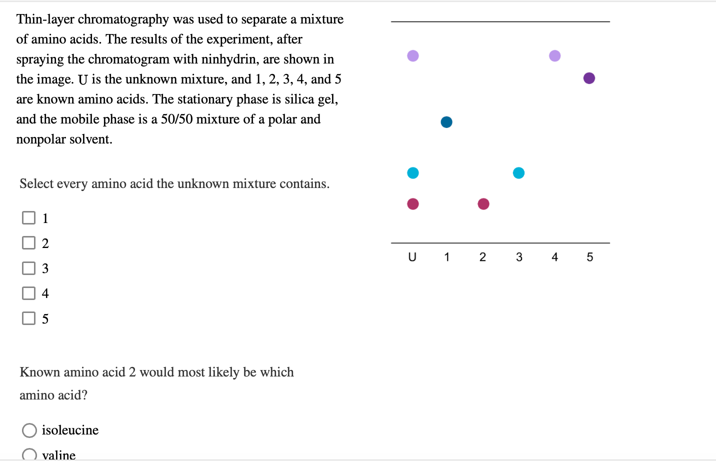 Solved Thin-layer chromatography was used to separate a | Chegg.com