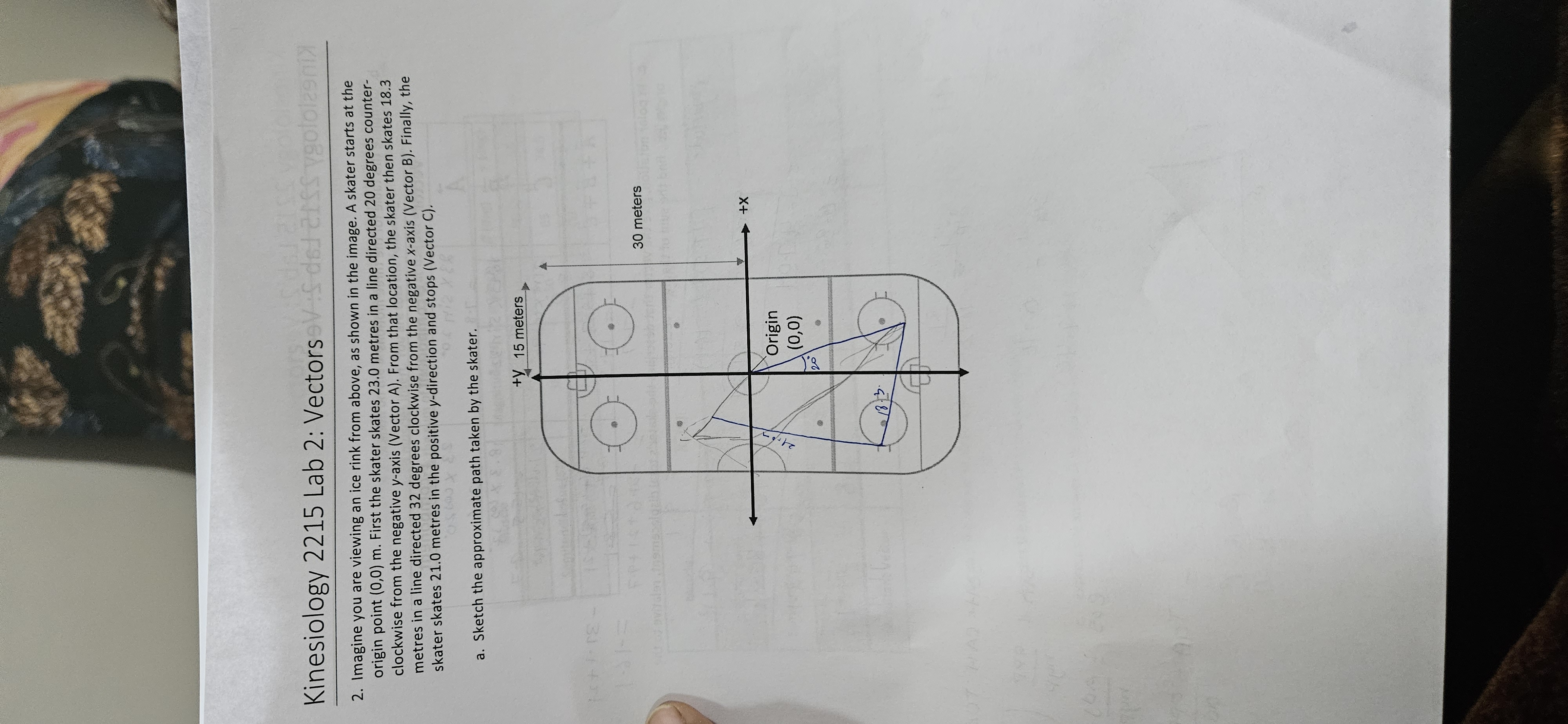 Solved Kinesiology 2215 Lab 2: Vectors 2. Imagine you are | Chegg.com
