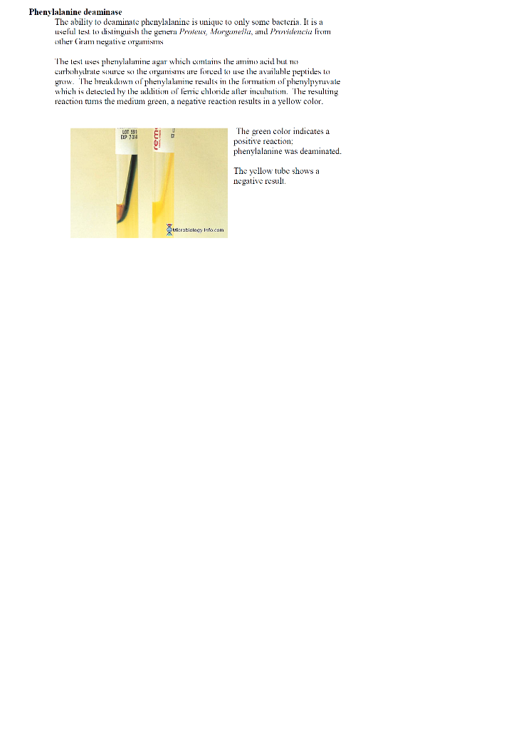 Solved Phenylalanine deaminase The ability to deaminate | Chegg.com