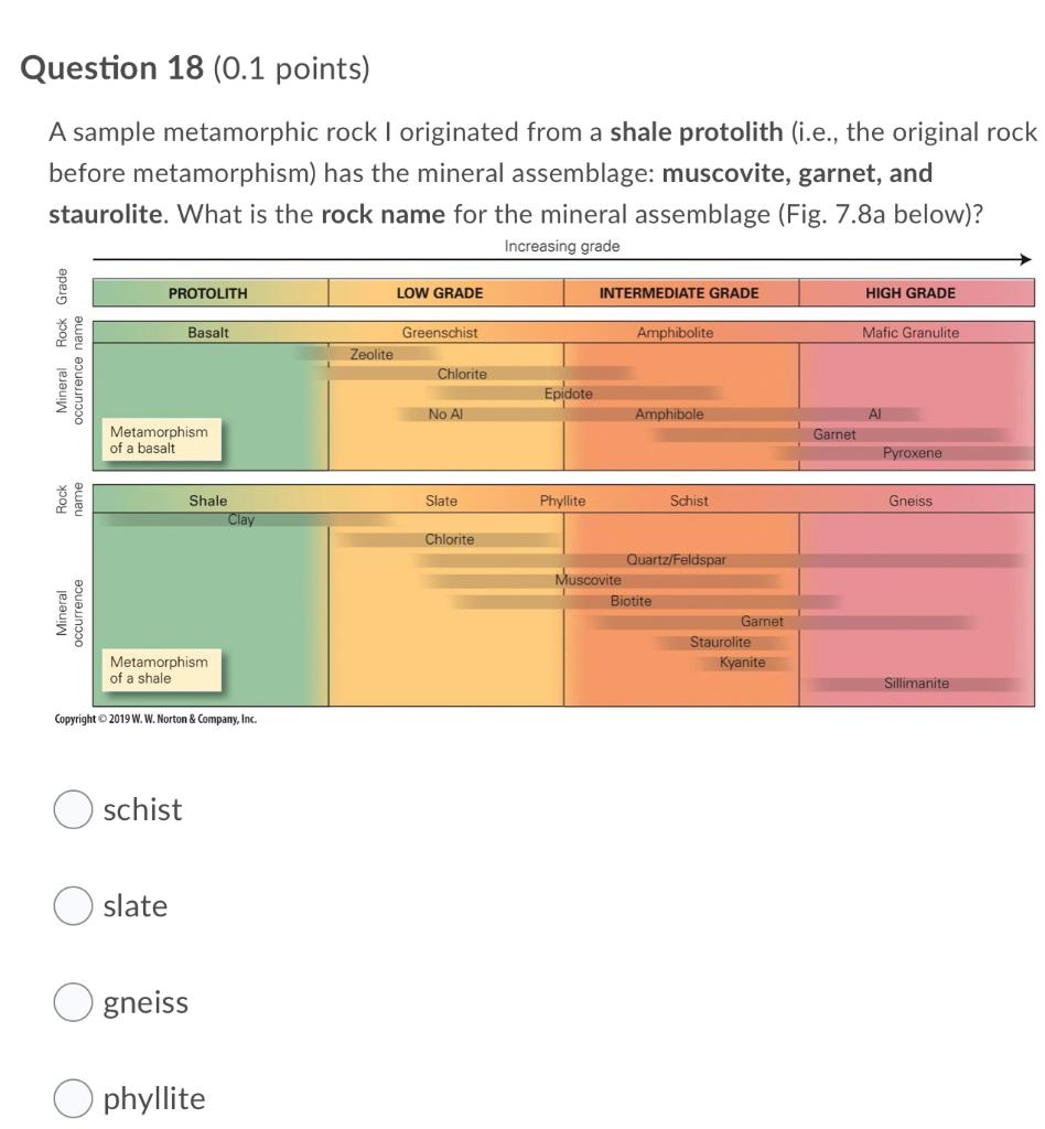 Solved Question 20 (0.1 points) A sample metamorphic rock F, | Chegg.com