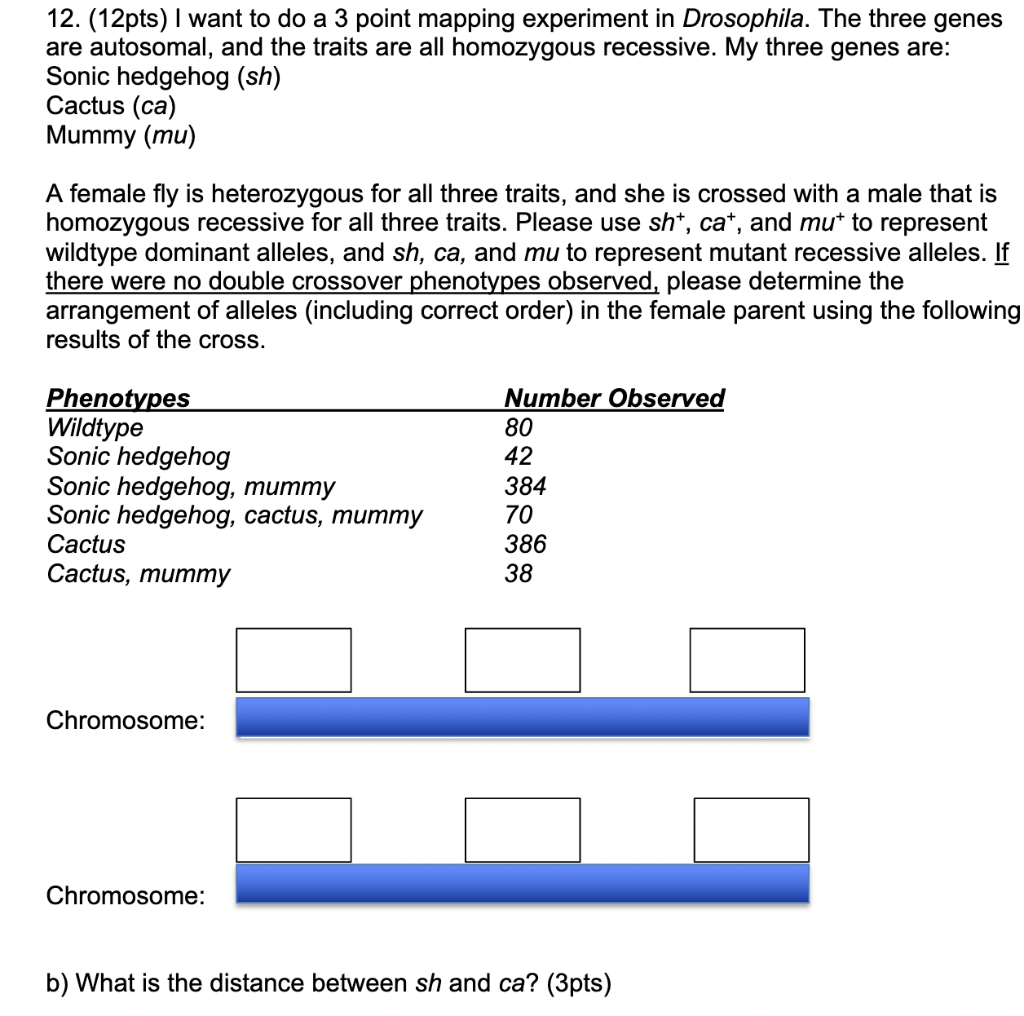 12. (12pts) I want to do a 3 point mapping experiment | Chegg.com