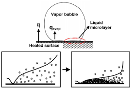 Solved The above figure shows a boiling water bubble above a | Chegg.com