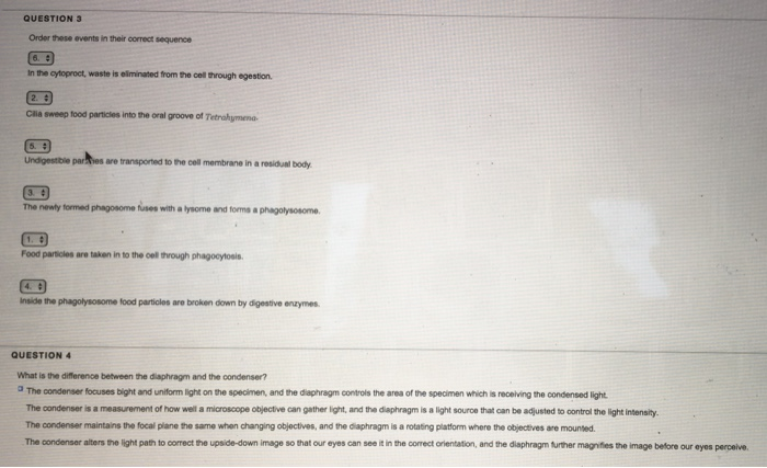 Solved QUESTION3 Order these events in their correct | Chegg.com