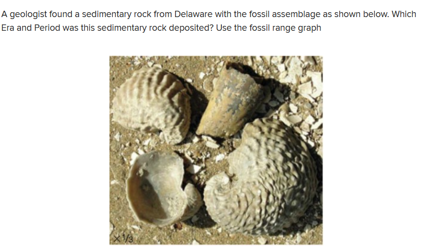 Solved A geologist found a sedimentary rock from Delaware | Chegg.com
