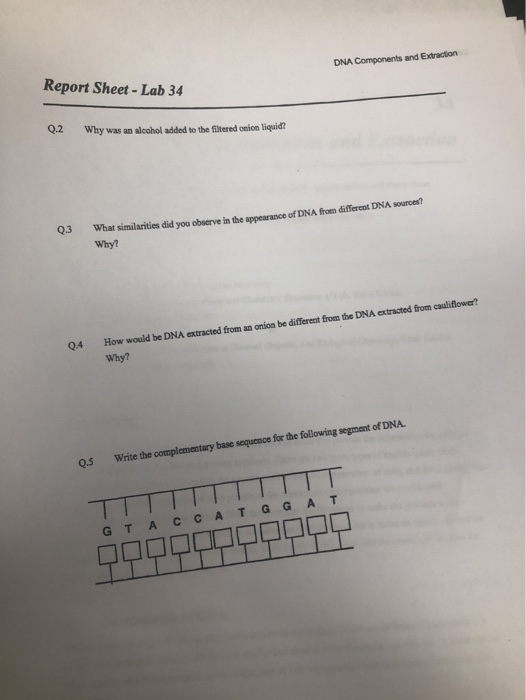 Solved DNA Components and Extraction Report Sheet - Lab 34 | Chegg.com