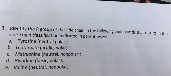 Solved Identify the R group of the side chain in the | Chegg.com