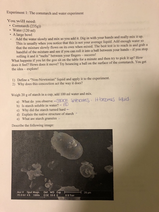 Solved Experiment 1: The cornstarch and water experiment You | Chegg.com