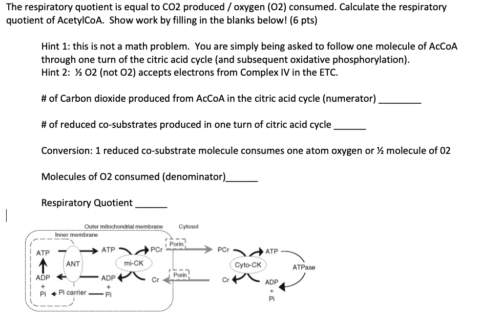 Solved The respiratory quotient is equal to CO2 produced / | Chegg.com