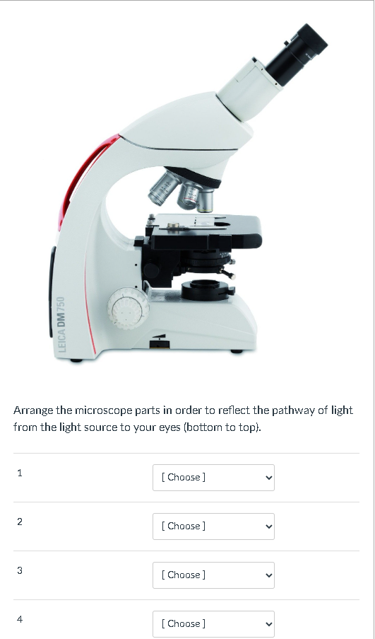 Solved Arrange the microscope parts in order to reflect the | Chegg.com