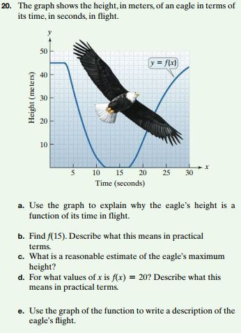 Solved 20. The graph shows the height, in meters, of an | Chegg.com