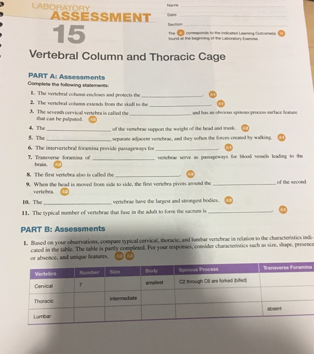 Solved The vertebral column encloses and protects the _____. | Chegg.com