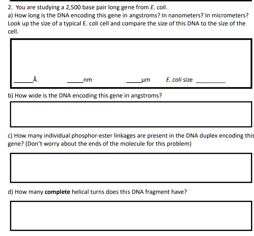 Solved 2. You are studying a 2,500 base pair long gene from | Chegg.com