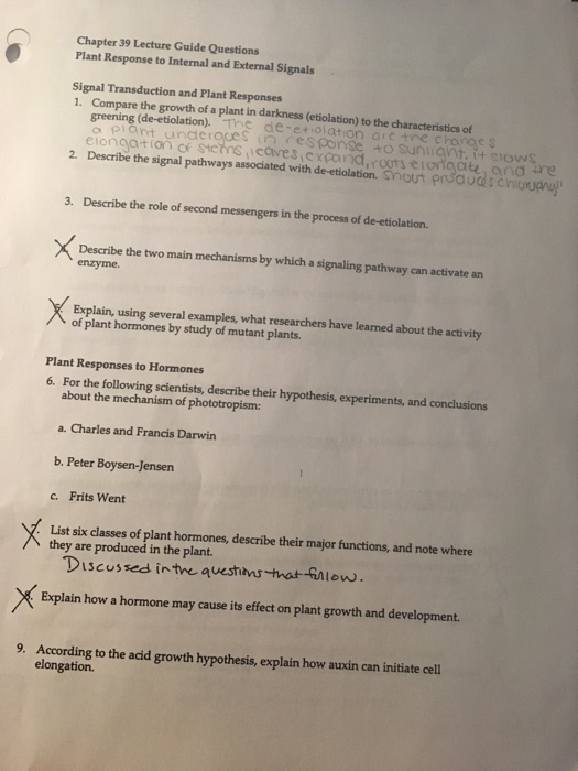 Solved Chapter 39 Lecture Guide Questions Plant Response to | Chegg.com