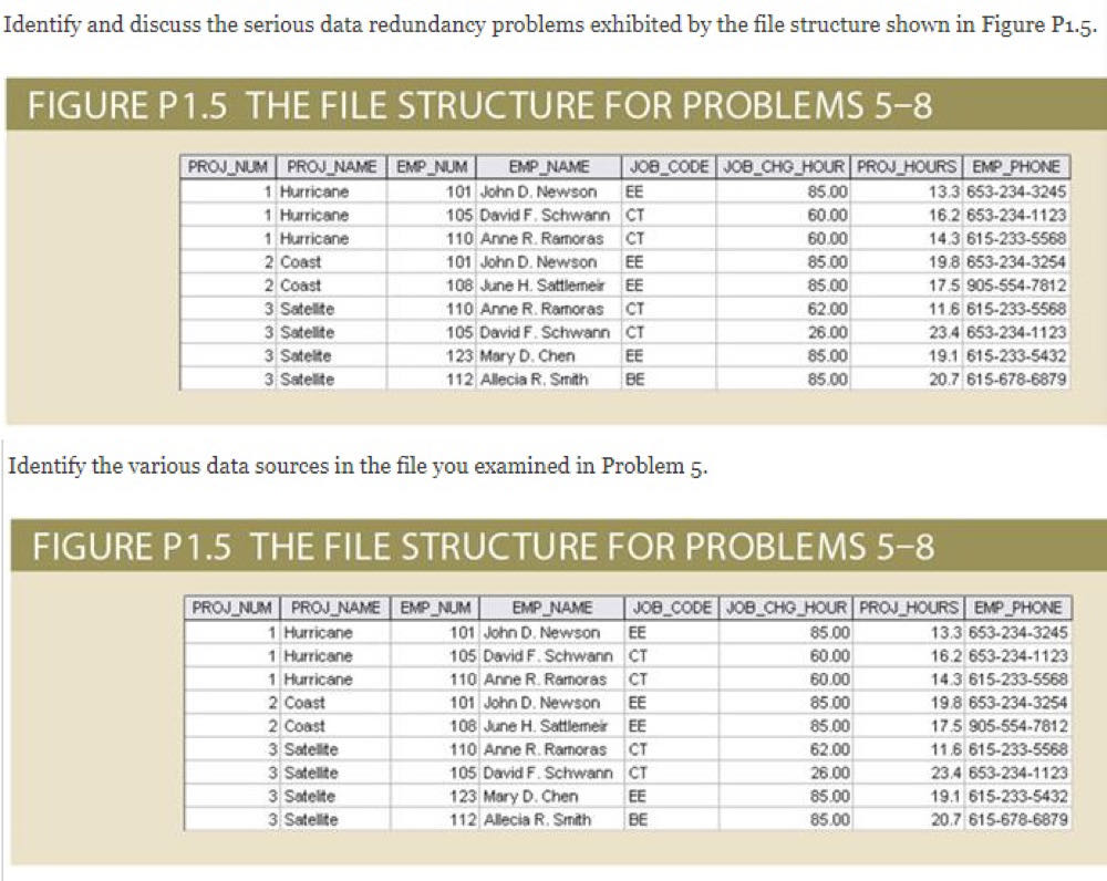 Solved Identify and discuss the serious data redundancy | Chegg.com