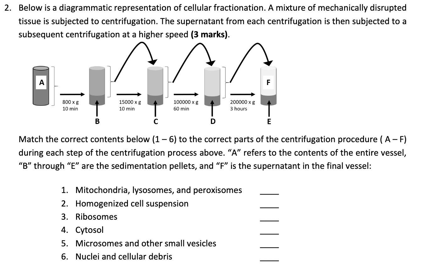 Solved Angular velocity (symbol: w, omega) is the rotational | Chegg.com