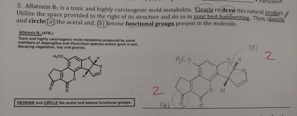 Solved p. 5 6. (a) Draw an acceptable structure for the | Chegg.com