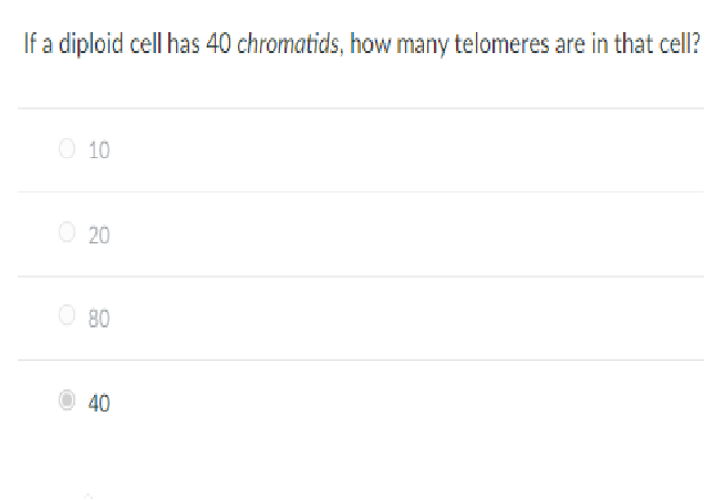 Solved A diploid somatic cell from a rat has a total of 42 | Chegg.com