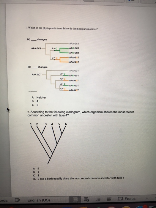 Solved 1. Which of the phylogenetic trees below is the most | Chegg.com