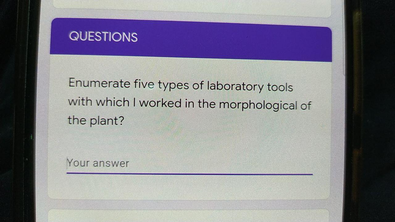 Solved QUESTIONS Enumerate five types of laboratory tools | Chegg.com