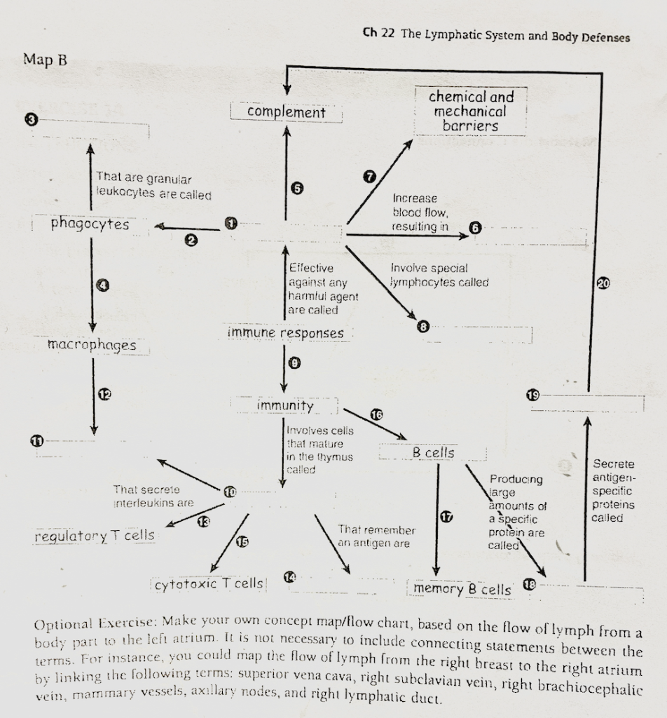 Solved Ch 22 The Lymphatic System and Body Defenses body | Chegg.com