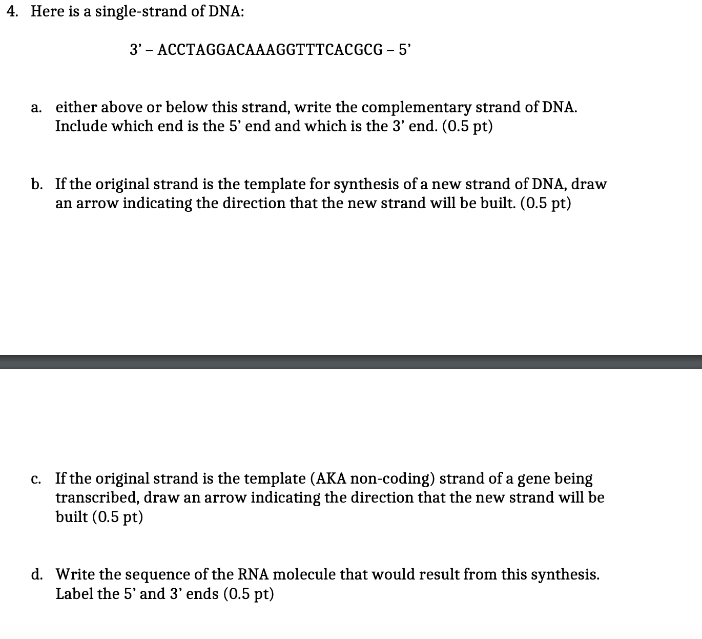 Solved Here is a single-strand of DNA:3' - | Chegg.com