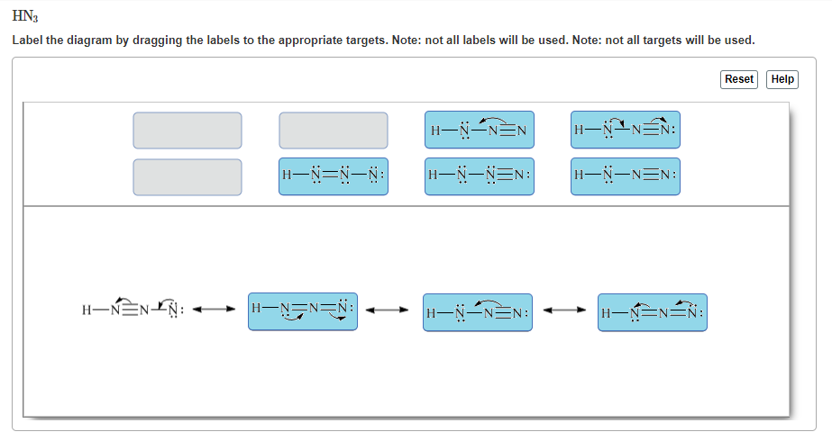 Solved HN3 Label the diagram by dragging the labels to the | Chegg.com