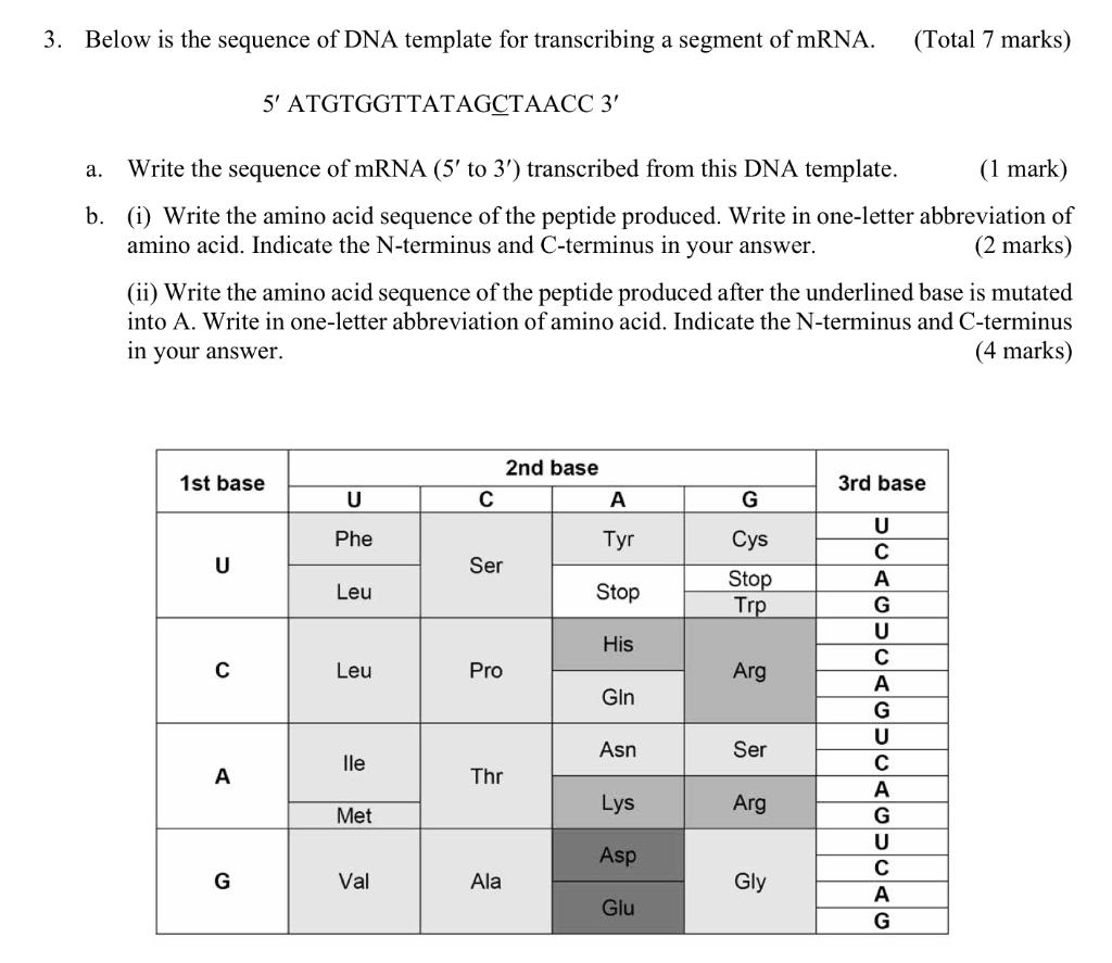Solved 3. Below is the sequence of DNA template for | Chegg.com