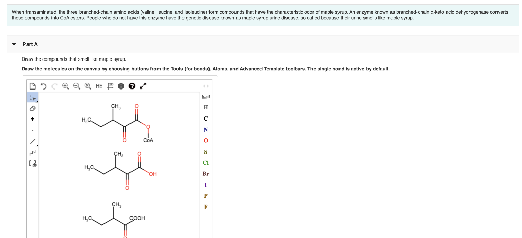 Solved When transaminated, the three branched-chain arrino | Chegg.com