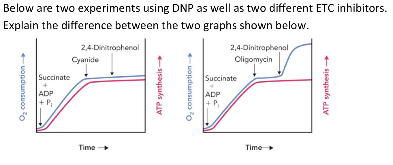 Solved Below are two experiments using DNP as well as two | Chegg.com