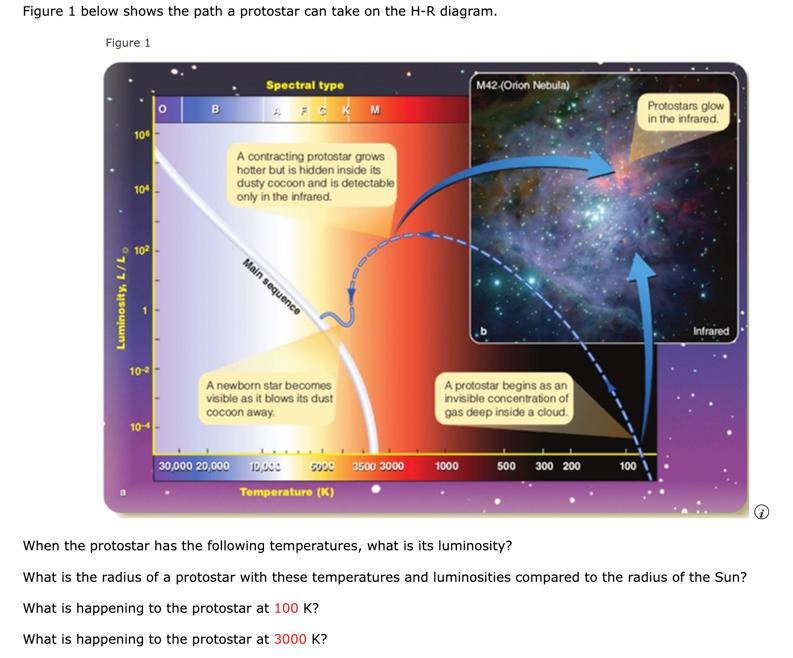 Solved Figure 1 below shows the path a protostar can take on | Chegg.com