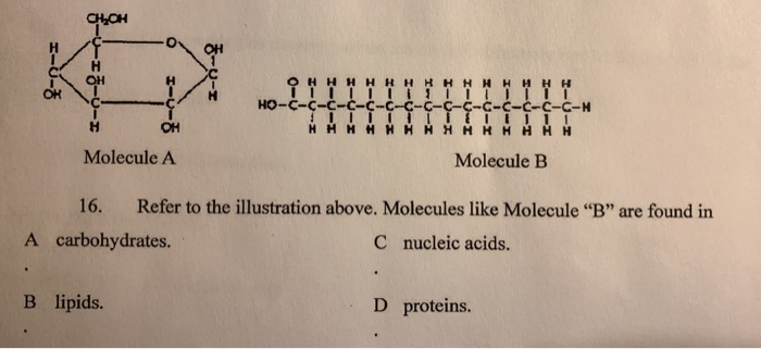 Solved 30. After an enzyme catalyzes a chemical reaction, | Chegg.com
