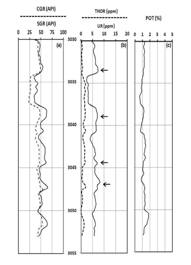 Gamma Ray Log The Gamma Ray log includes: 1- Natural | Chegg.com