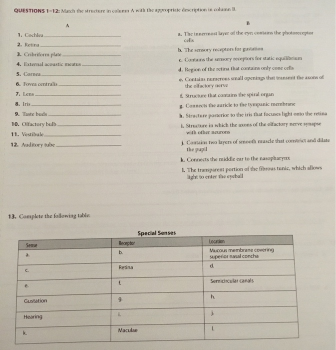 Solved QUESTIONS 1-12: Match the structure in column A with | Chegg.com Solved QUESTIONS 1-12: Match the structure in column A with | Chegg.com