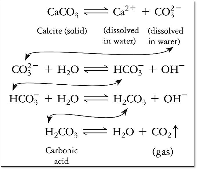 Solved In the following reaction, if agricultural lime were | Chegg.com