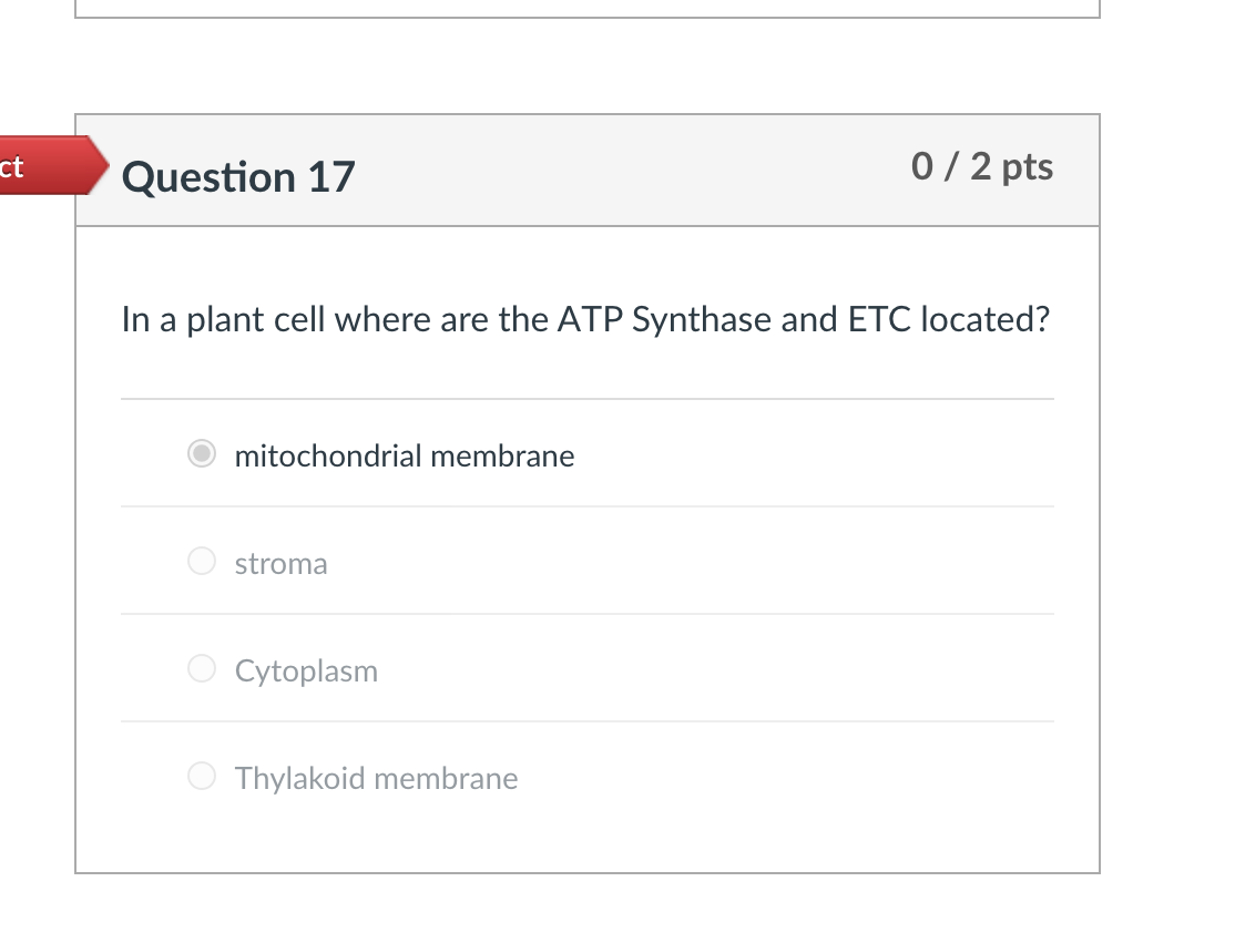 Solved In a plant cell where are the ATP Synthase and ETC | Chegg.com