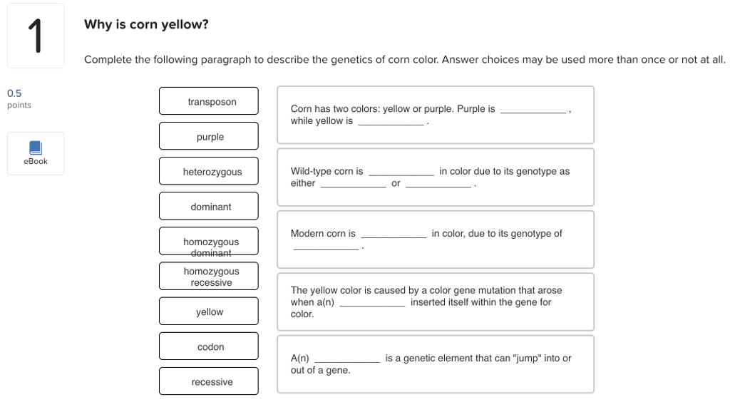 Solved Why is corn yellow? Complete the following paragraph | Chegg.com